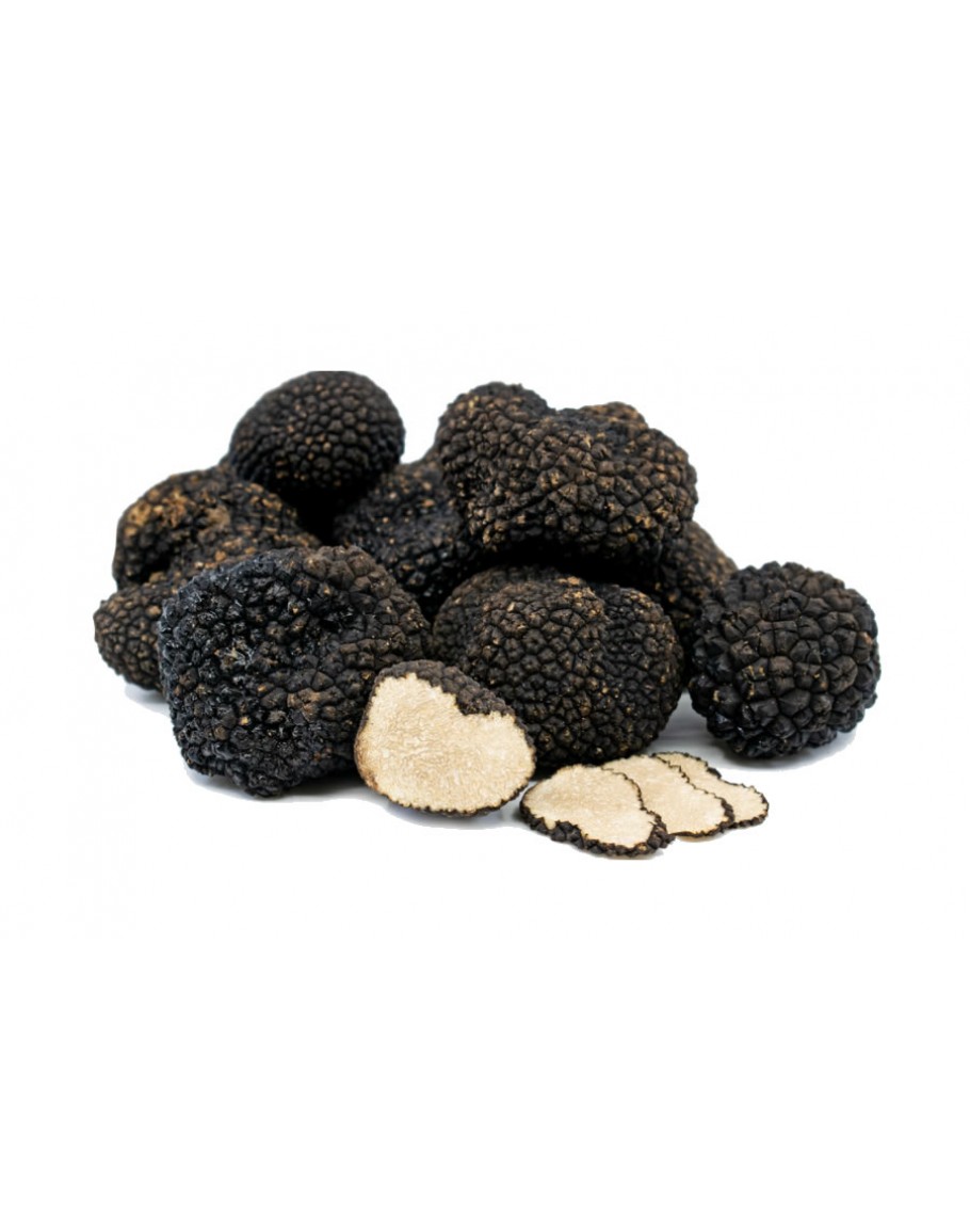 Fresh Black Summer Truffle B-grade | Truffle House