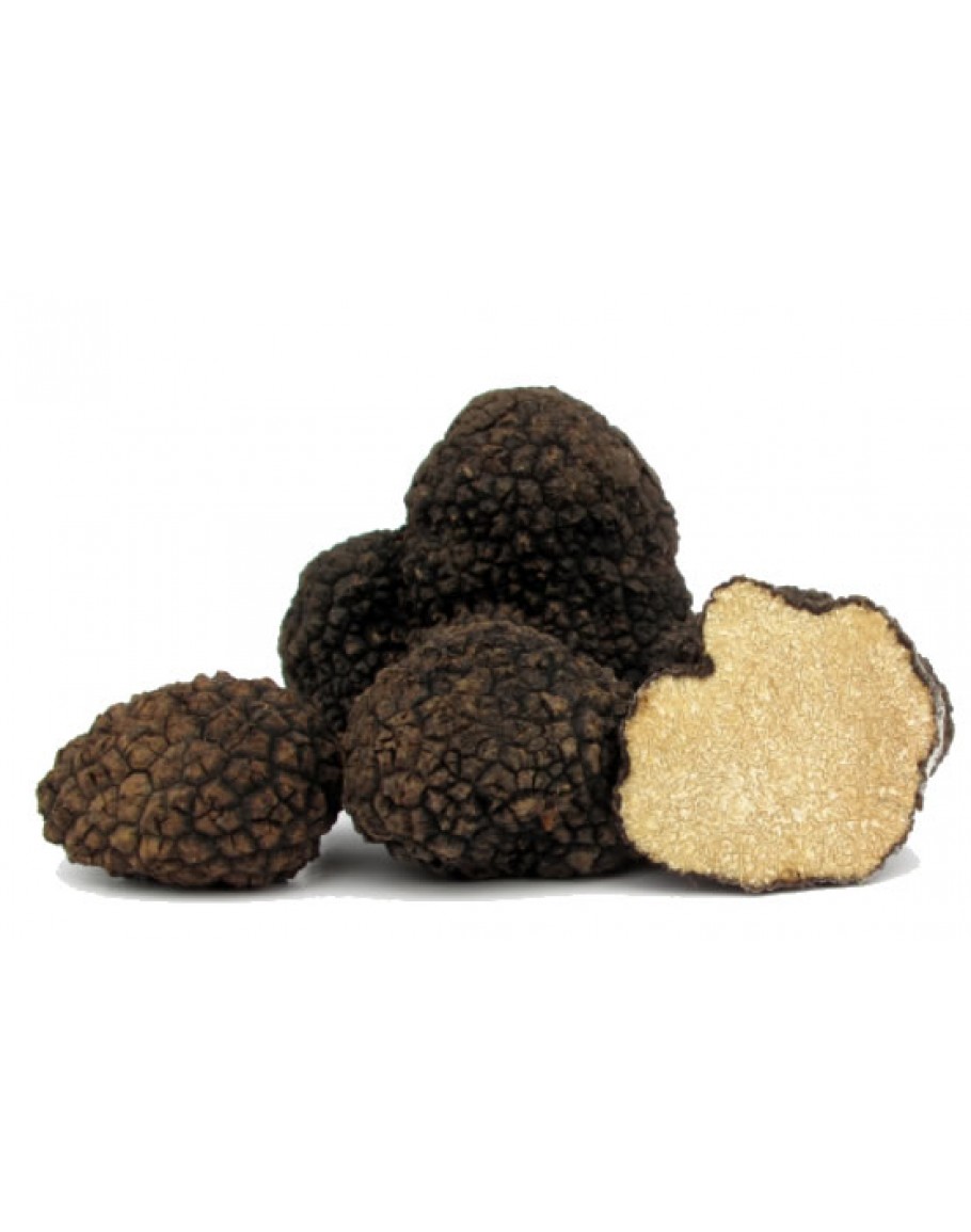 Fresh Black Summer Truffle Extra grade | Truffle House
