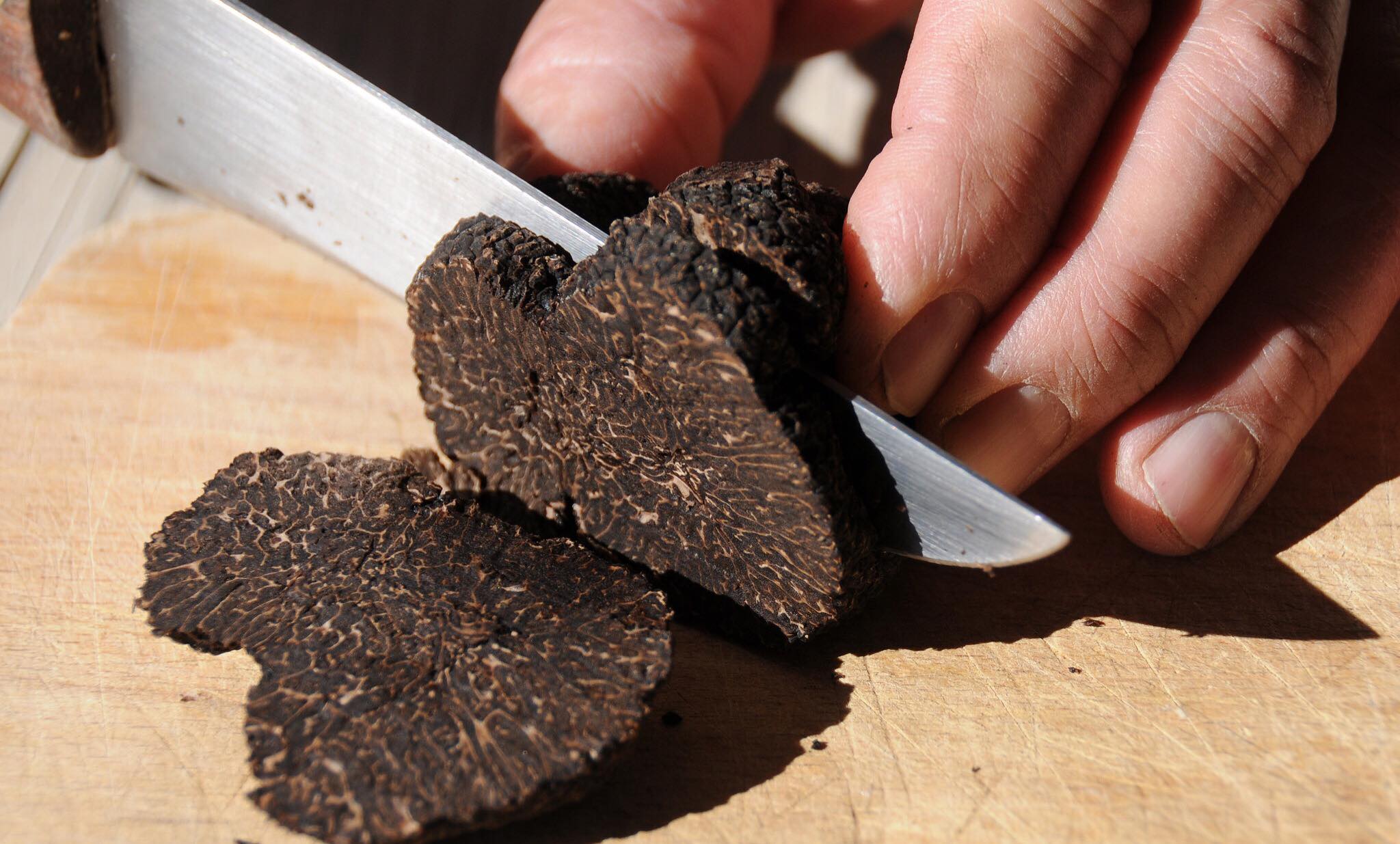 Fresh Black Truffles Melanosporum Slices | Truffle House