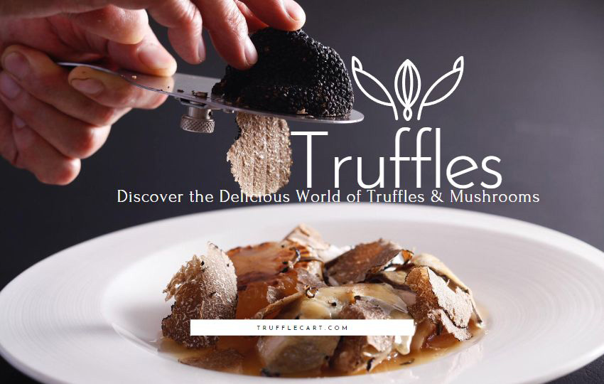 Truffle House - Fresh Black and White truffles online